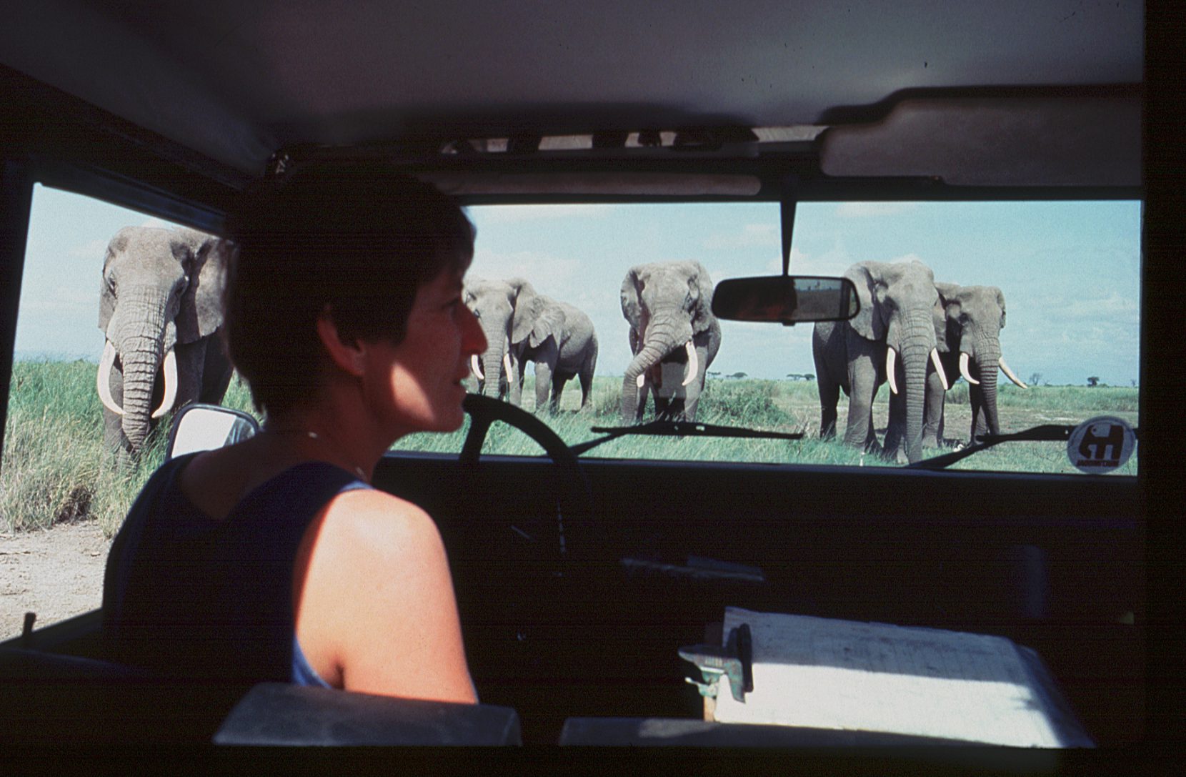 Elephant Listening Project